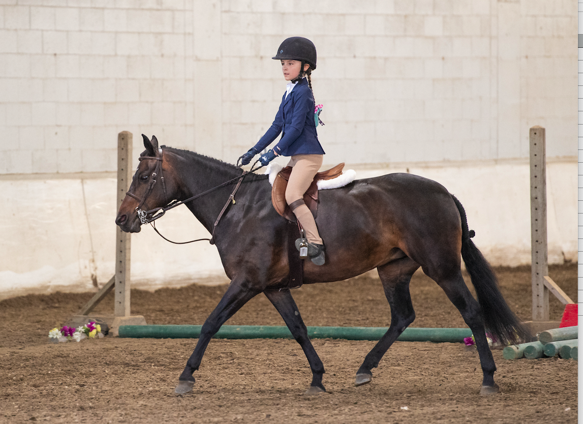 Leasing & Sales — Country Lane Farm