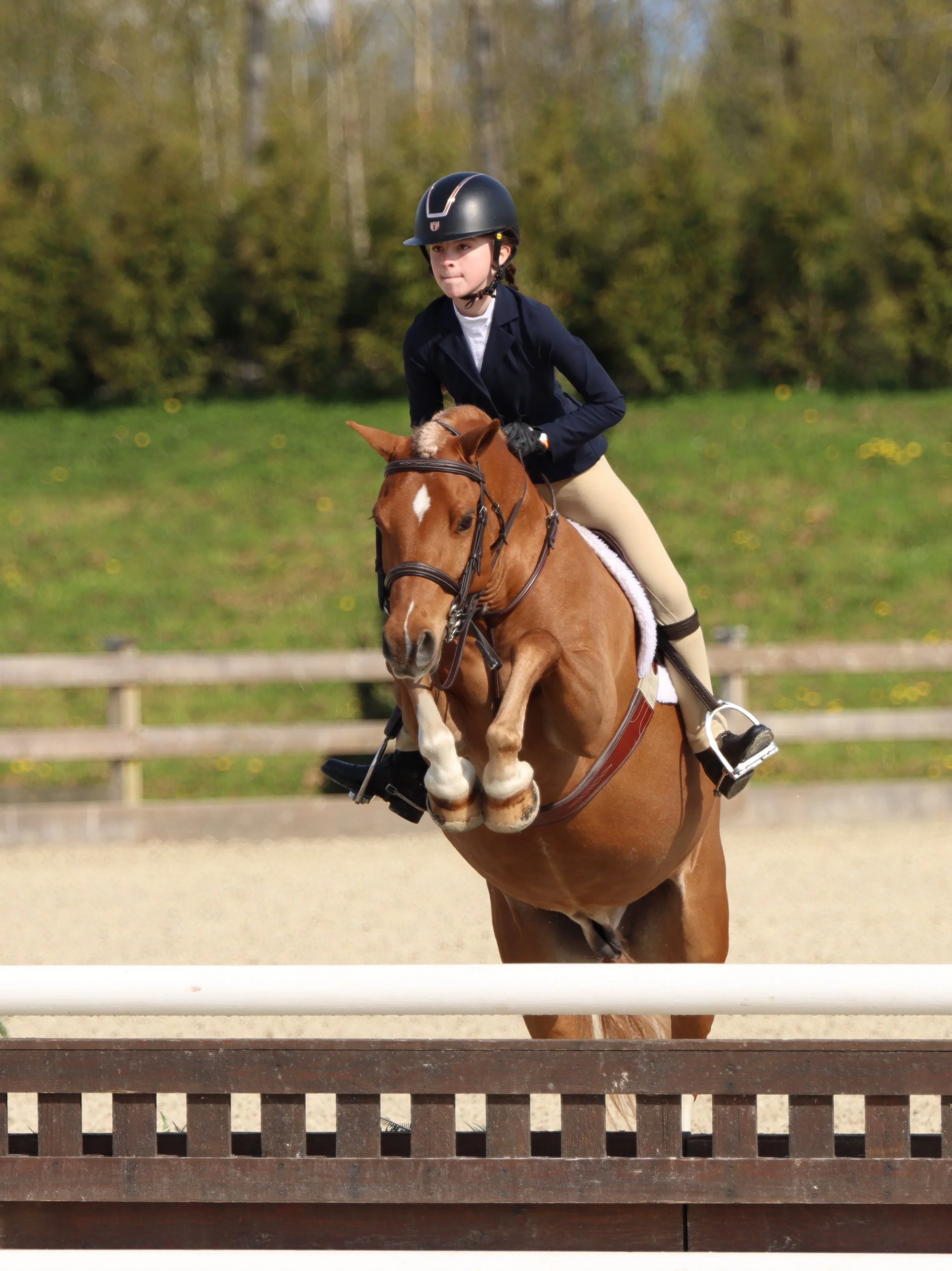 Riding School Info — Country Lane Farm