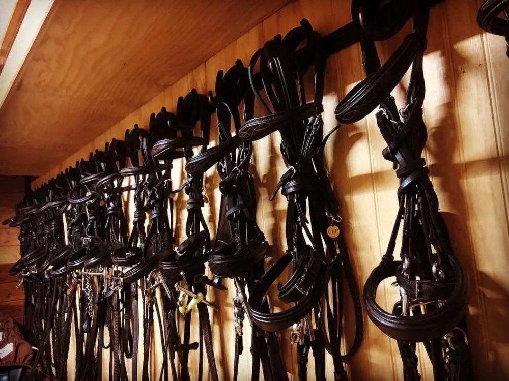 Gallery 3 — Country Lane Farm