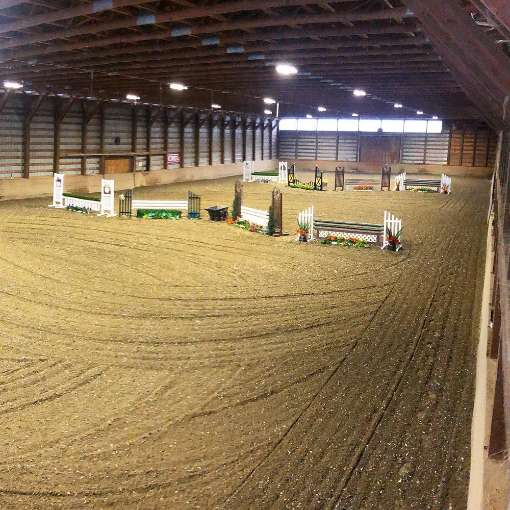 Gallery 3 — Country Lane Farm