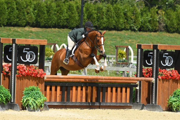 Leasing & Sales — Country Lane Farm