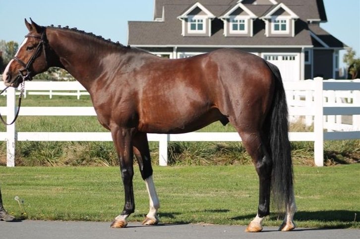 Leasing & Sales — Country Lane Farm