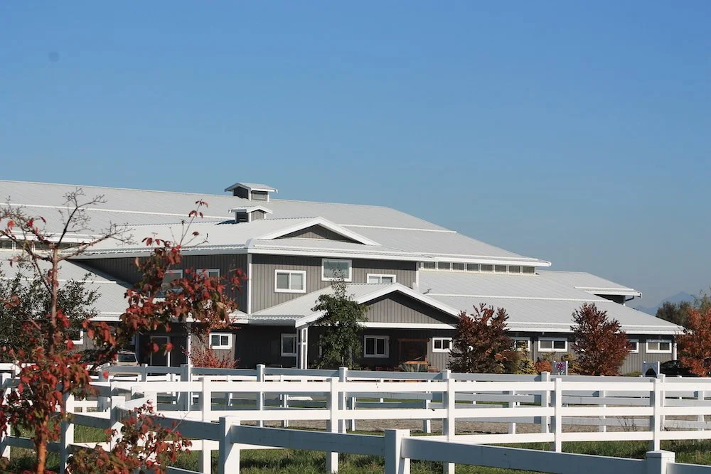 Gallery 3 — Country Lane Farm