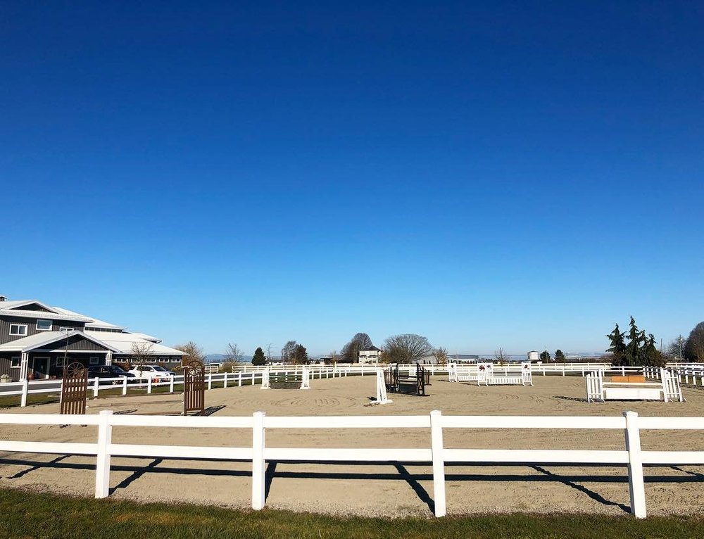 Gallery 3 — Country Lane Farm