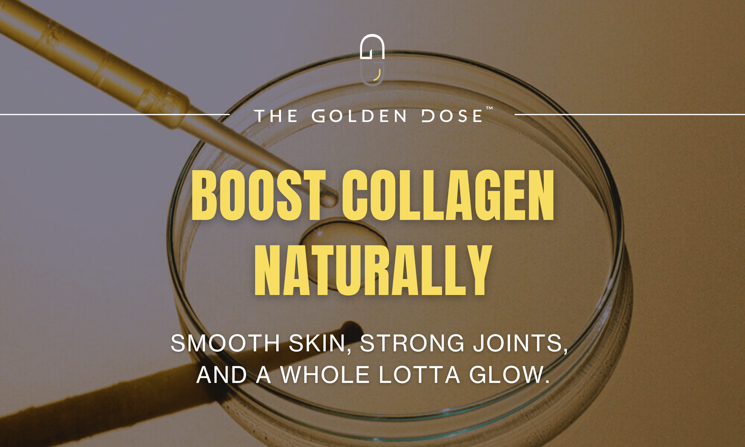 collagen — Blog 3 — The Golden Dose