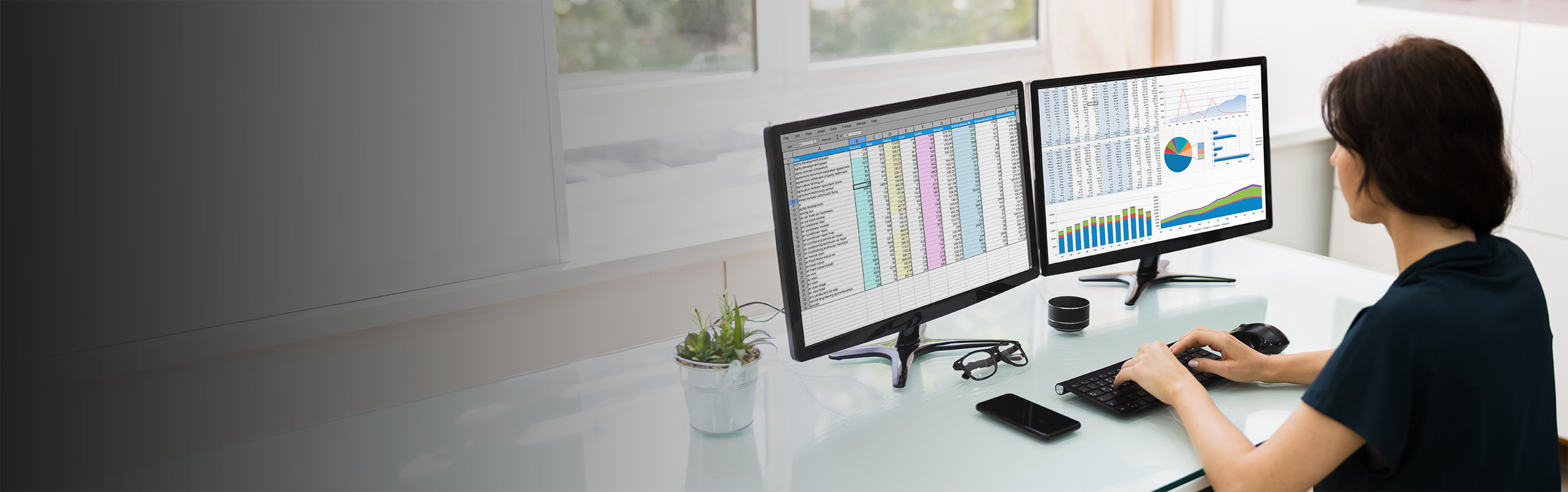 PMG Software Professionals