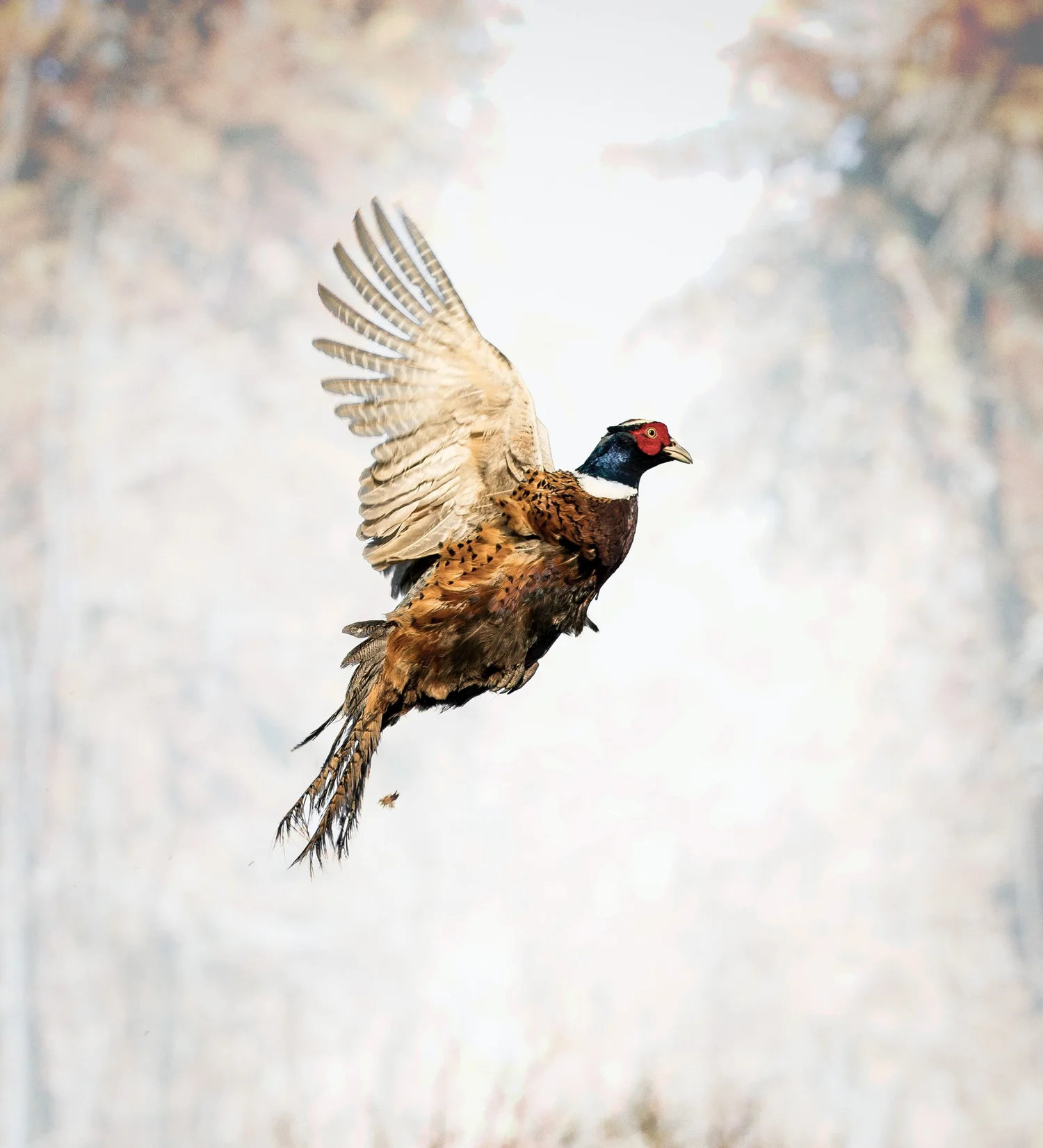 Luxury Hunting Destination in Southeast Alabama | Otter Creek Farmstead