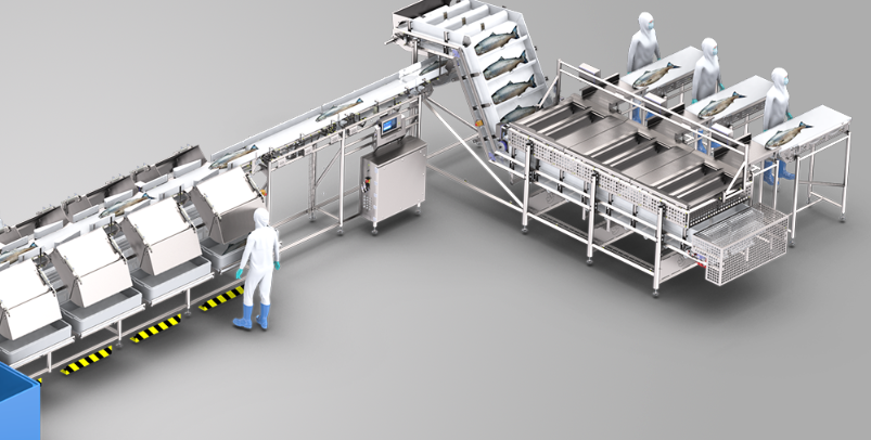 OESTERGAARD AUSTRALIA | FOODMATE EVISCERATING — Oestergaard