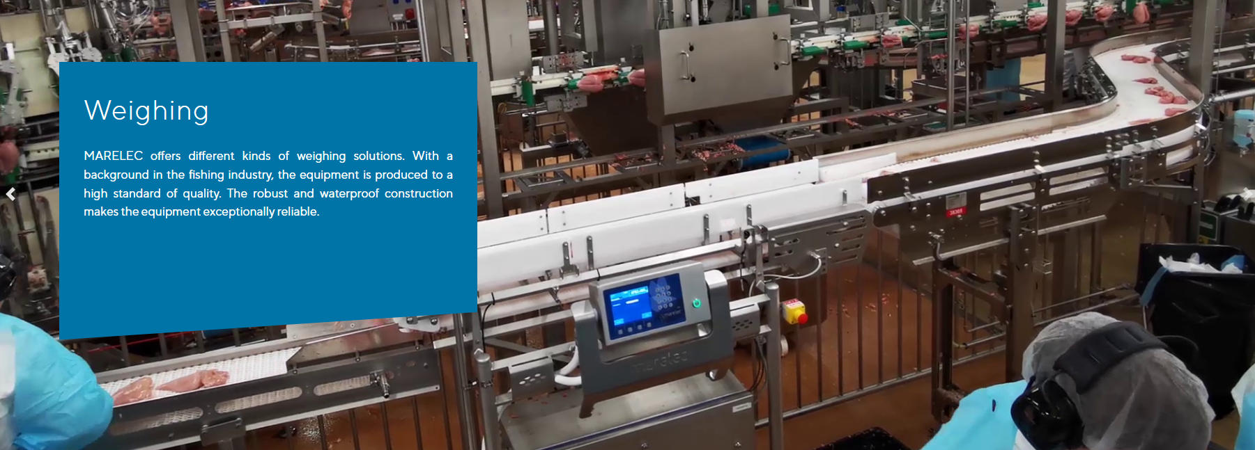 OESTERGAARD AUSTRALIA | FOODMATE EVISCERATING — Oestergaard