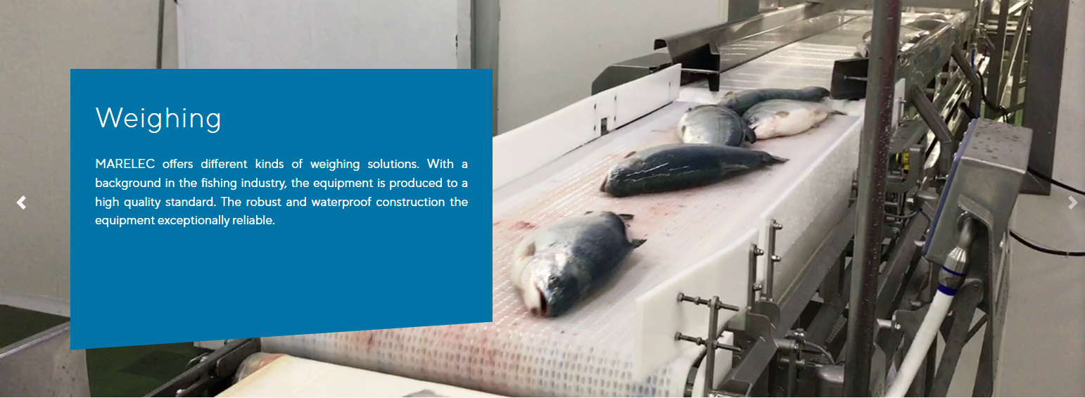 OESTERGAARD AUSTRALIA | FOODMATE EVISCERATING — Oestergaard