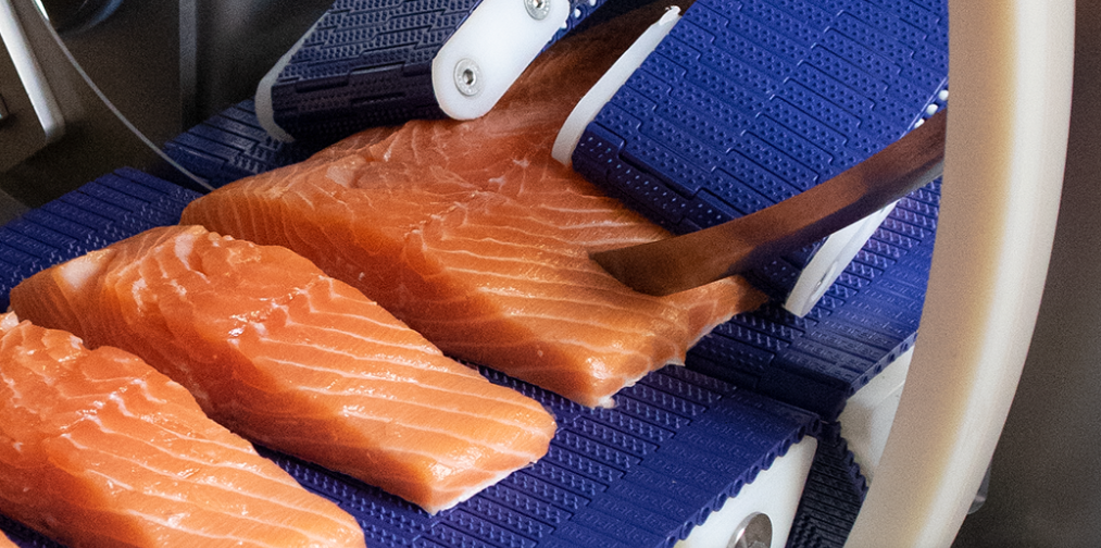 FISH Portion Cutter PORTIO 1A (Copy) — Oestergaard