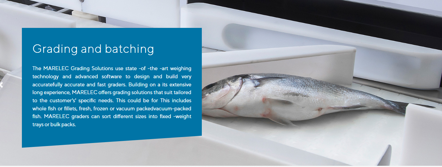 OESTERGAARD AUSTRALIA | FOODMATE EVISCERATING — Oestergaard