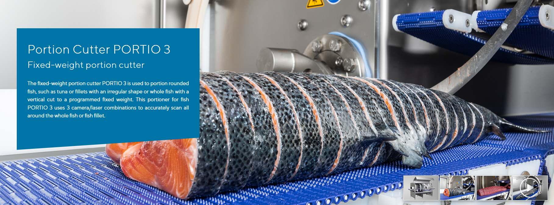 FISH Portion Cutter PORTIO 3 (Copy) — Oestergaard