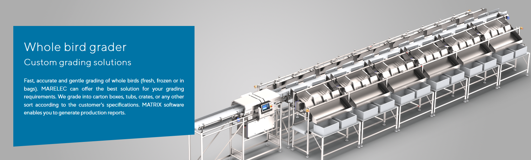 WHOLE BIRD GRADER — Oestergaard