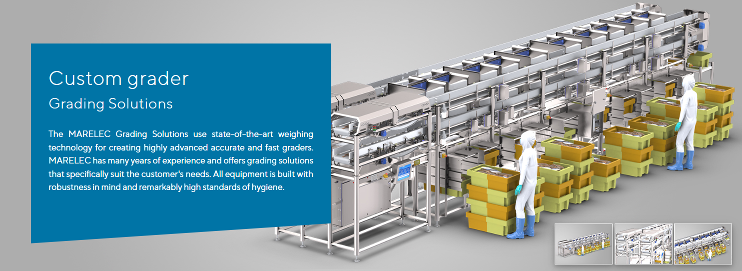 FISH CUSTOM GRADER — Oestergaard