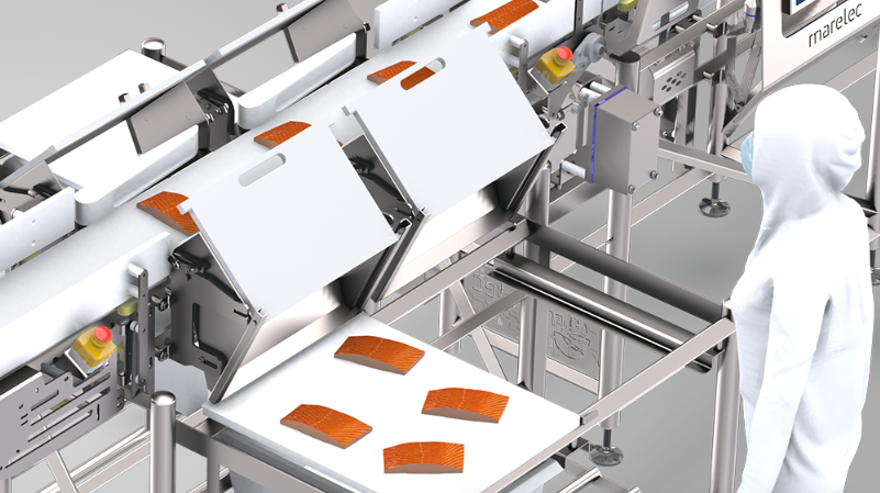 FISH GRADER AFTER PORTIONING — Oestergaard