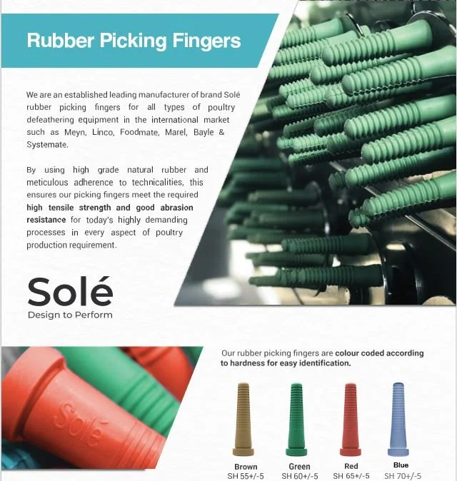 General 1 — Oestergaard