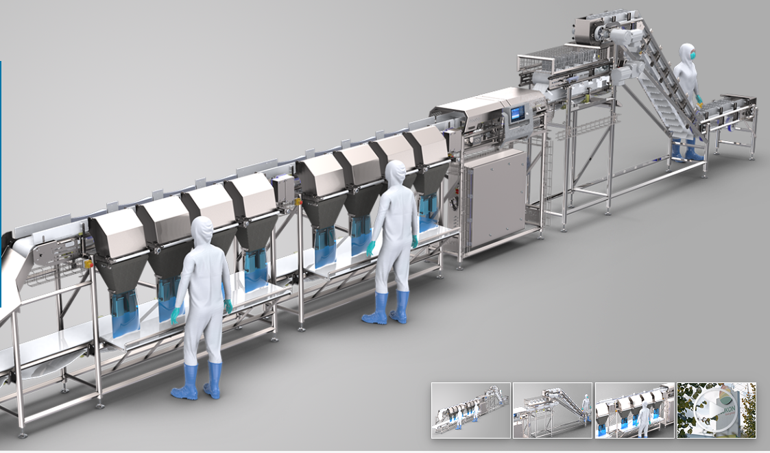 OESTERGAARD AUSTRALIA | FOODMATE EVISCERATING — Oestergaard