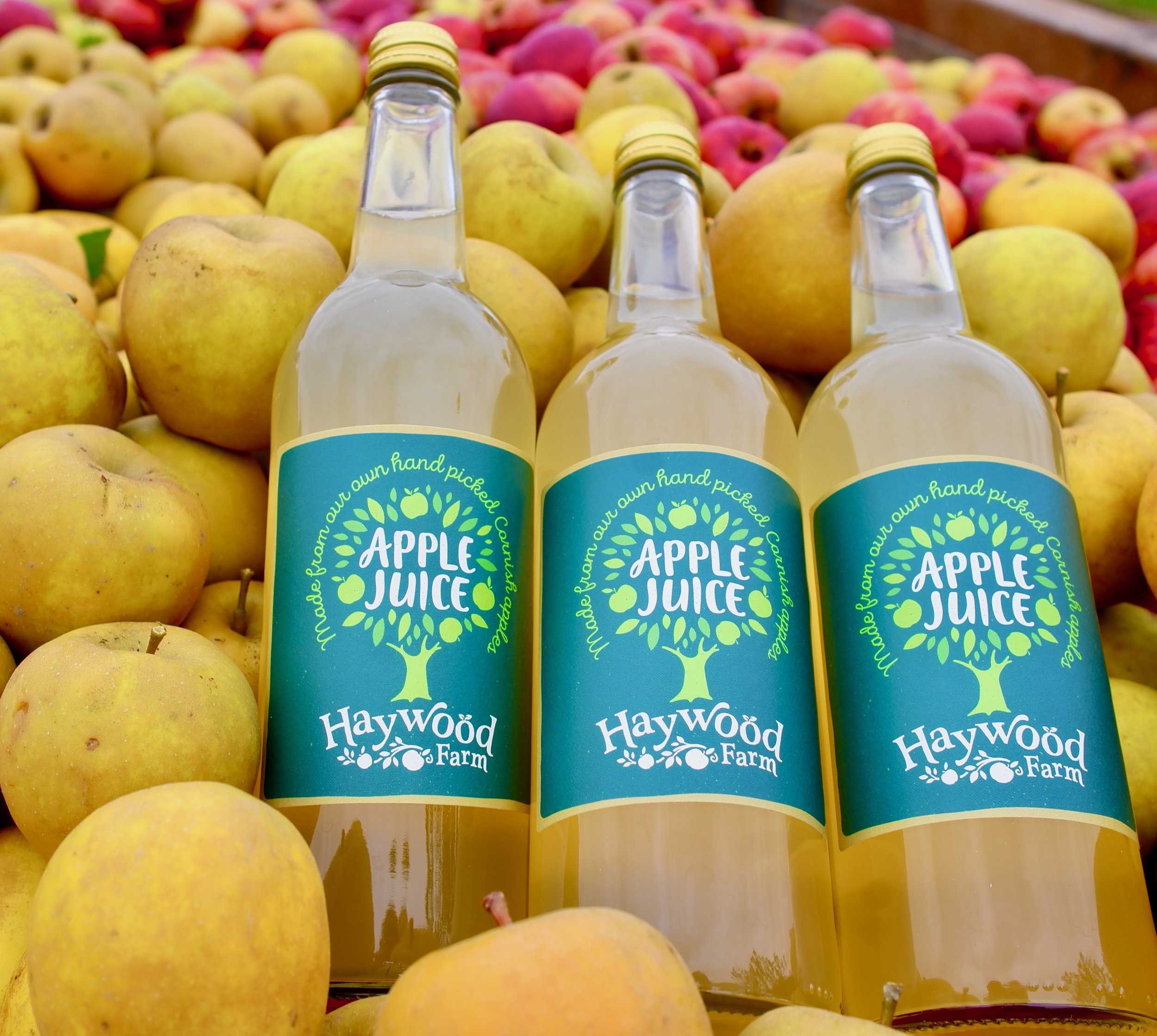 Gallery — Haywood Farm Cider traditional Cornish still cider