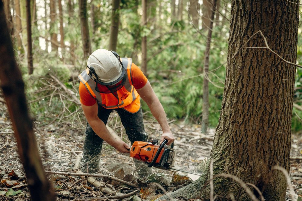 Woodland Services — Powell Forestry Ltd