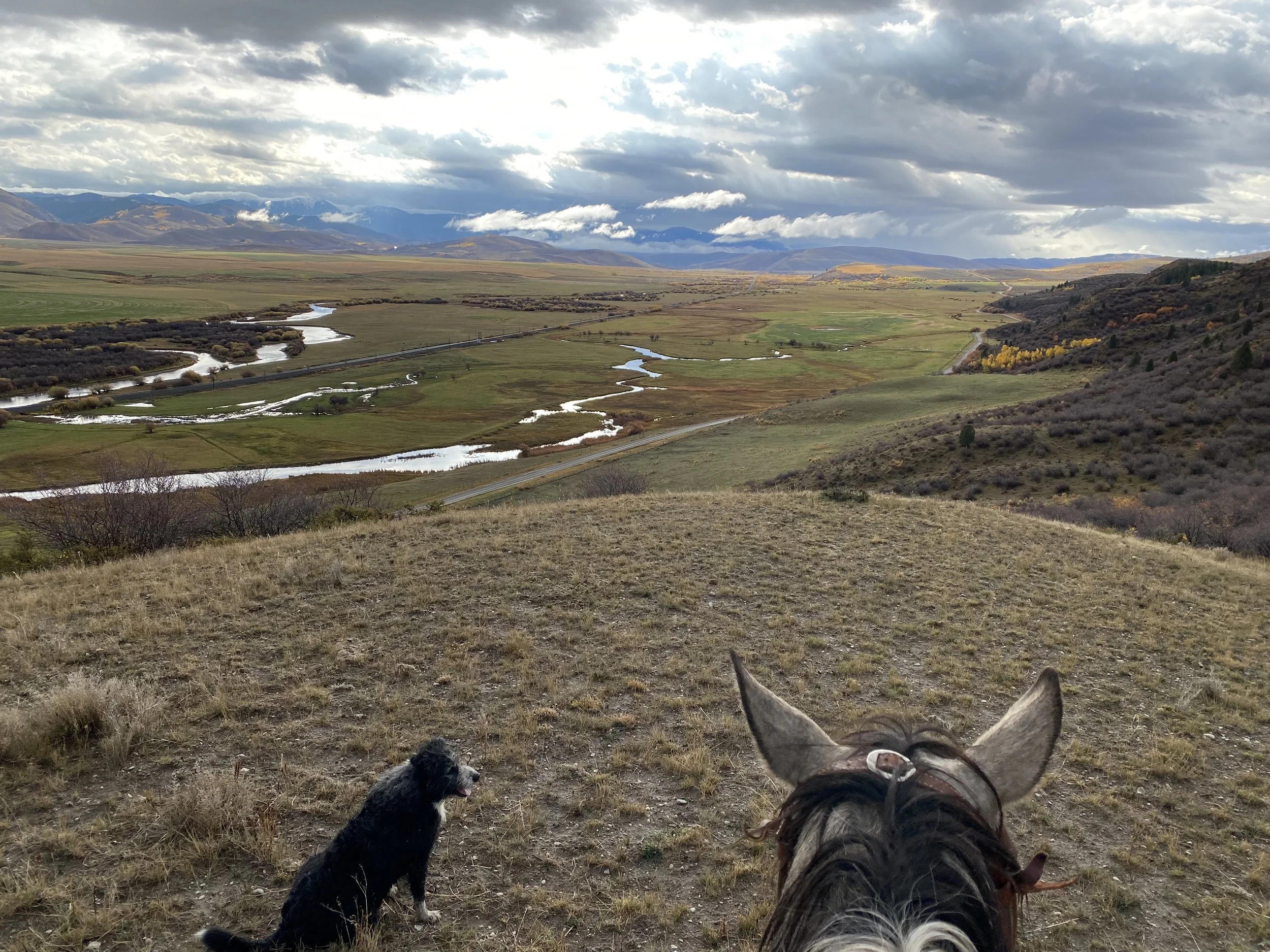 Senator Harris - Experienced Leadership for Idaho District 32