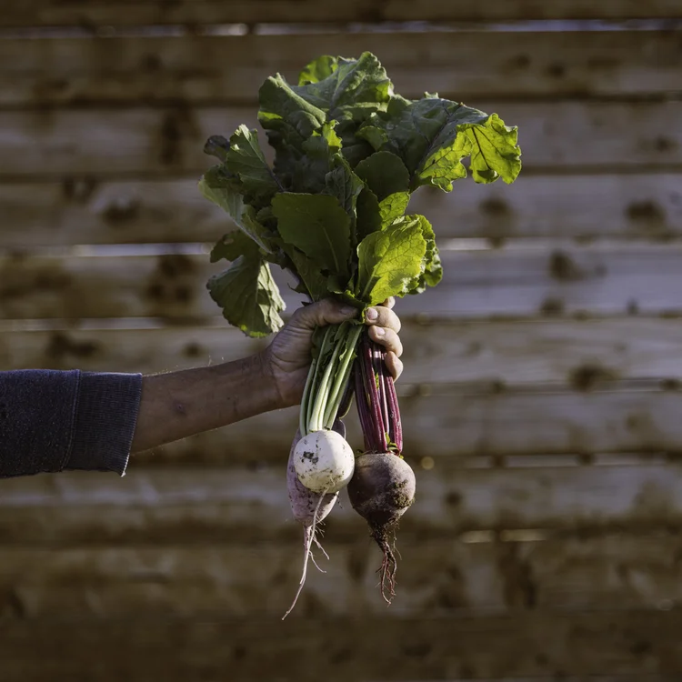 Green Life Produce