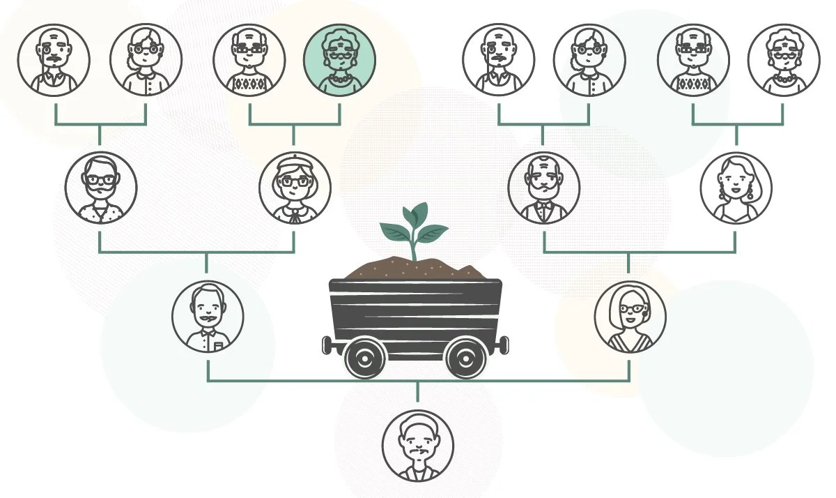 Family Tree Research — Family Tree Miner