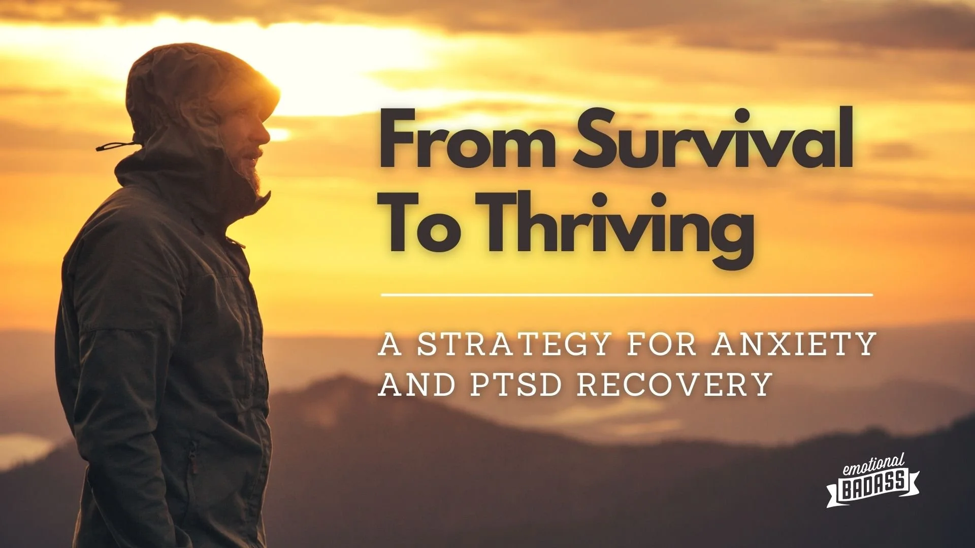 From Survive to Thrive - A Strategy for Anxiety & PTSD Recovery ...