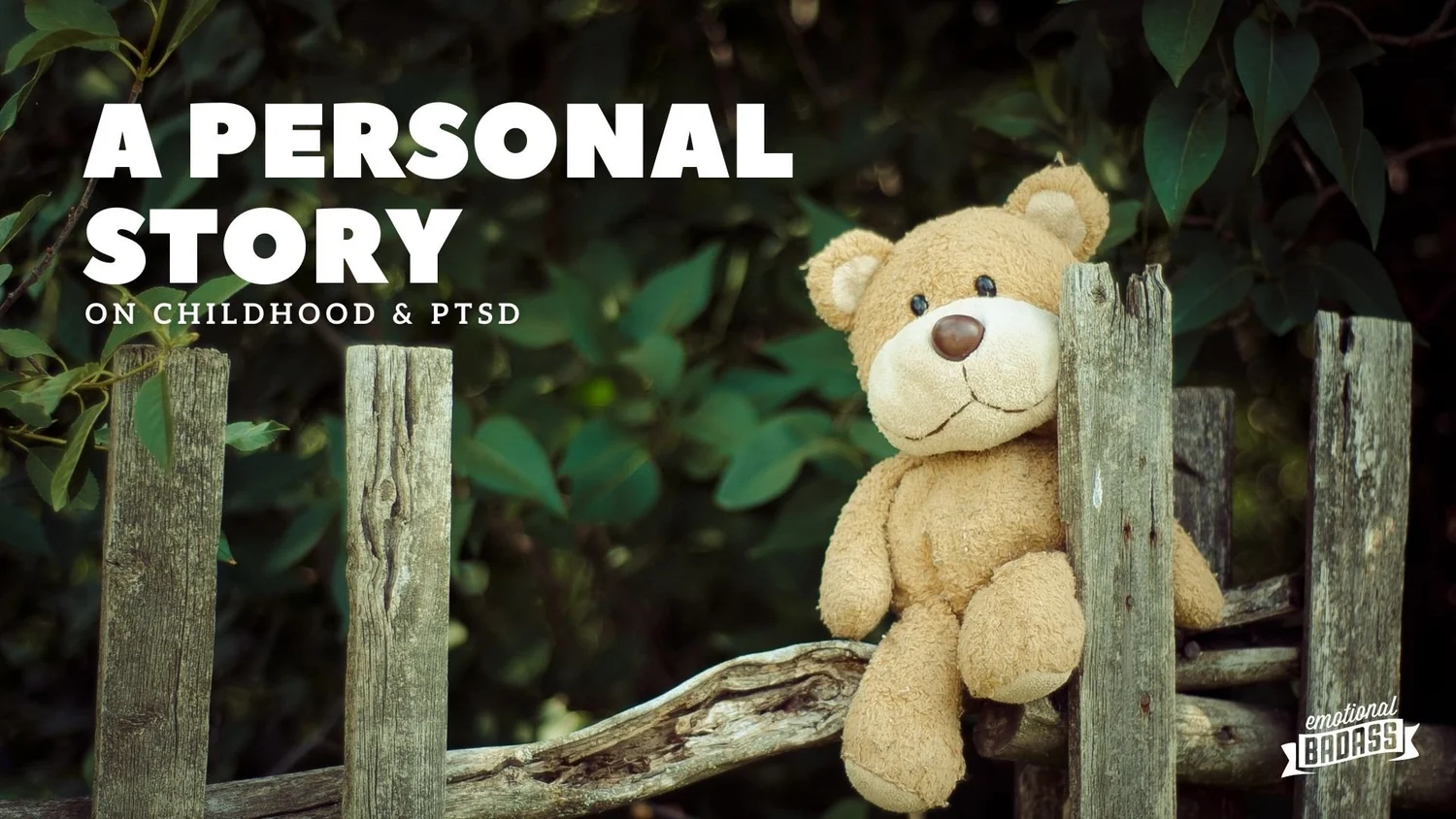 A Personal Story of Childhood, PTSD, and Fences — Emotional Badass ...