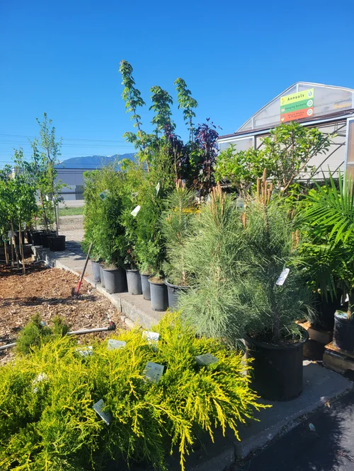 Invermere Home Hardware Building Centre