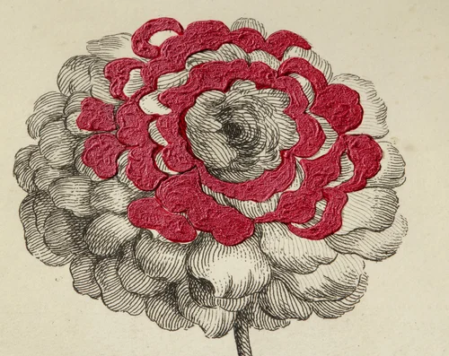 Pressed Flowers II — VISUAL CONTRAST | ART + DESIGN STUDIO