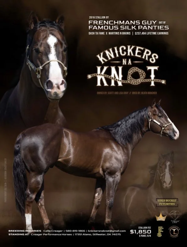 Knickers N Knot — Creager Performance Horses
