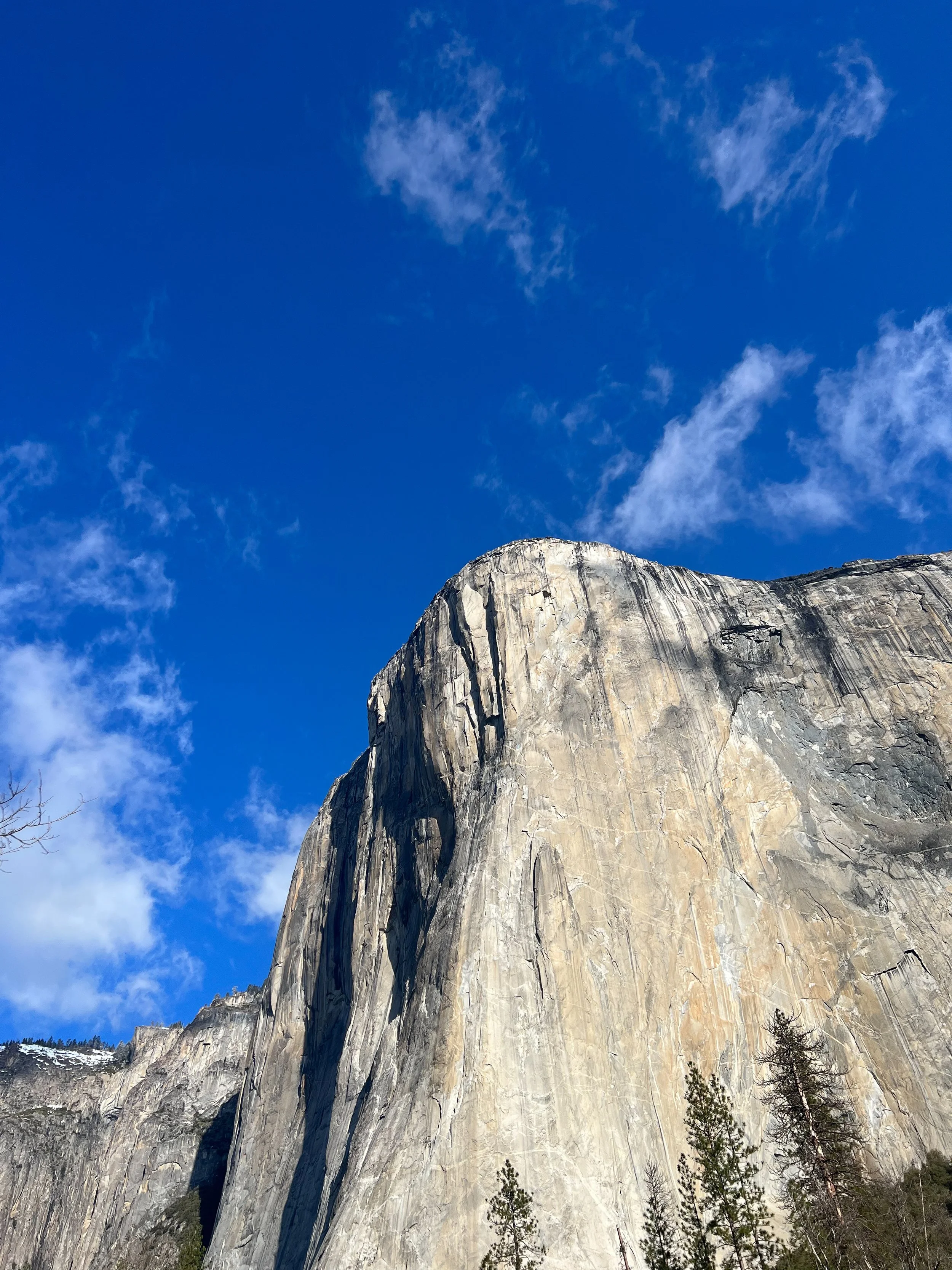 50 Facts About Yosemite National Park — Pacific Adventure Club