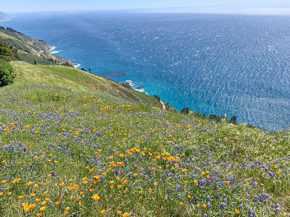 The Santa Lucia Mountain Range — Pacific Adventure Club