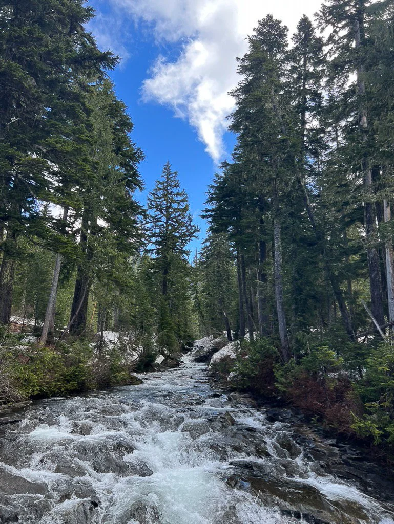 Mysterious Disappearances at Mount Rainier National Park — Pacific ...