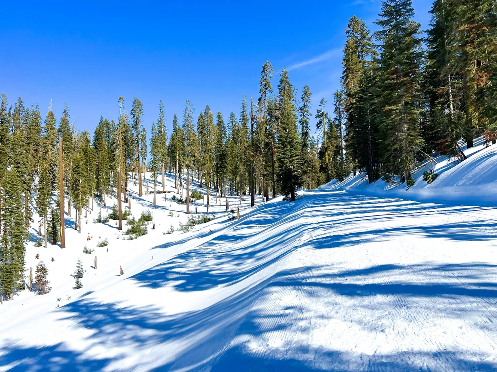 All You Need to Know About the Badger Pass Ski Area — Pacific Adventure ...