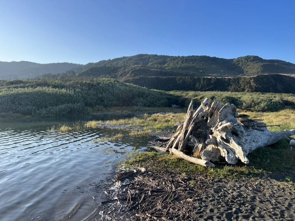 Exploring Mattole Beach and River Mouth — Pacific Adventure Club