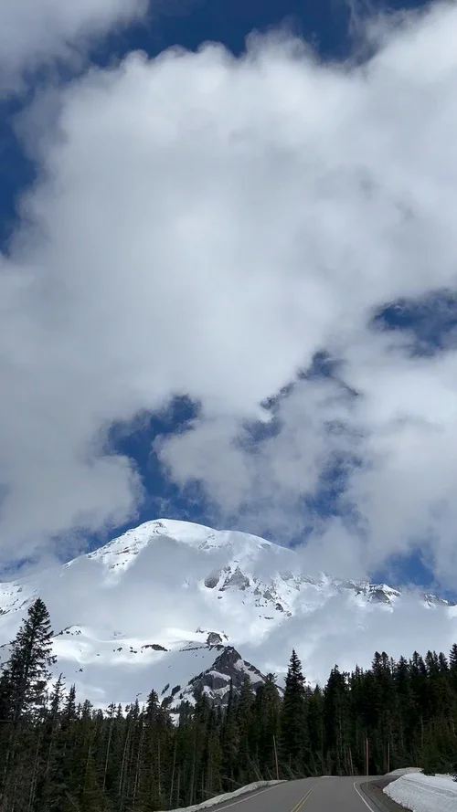 10(ish) Interesting Facts About Mount Rainier National Park — Pacific ...