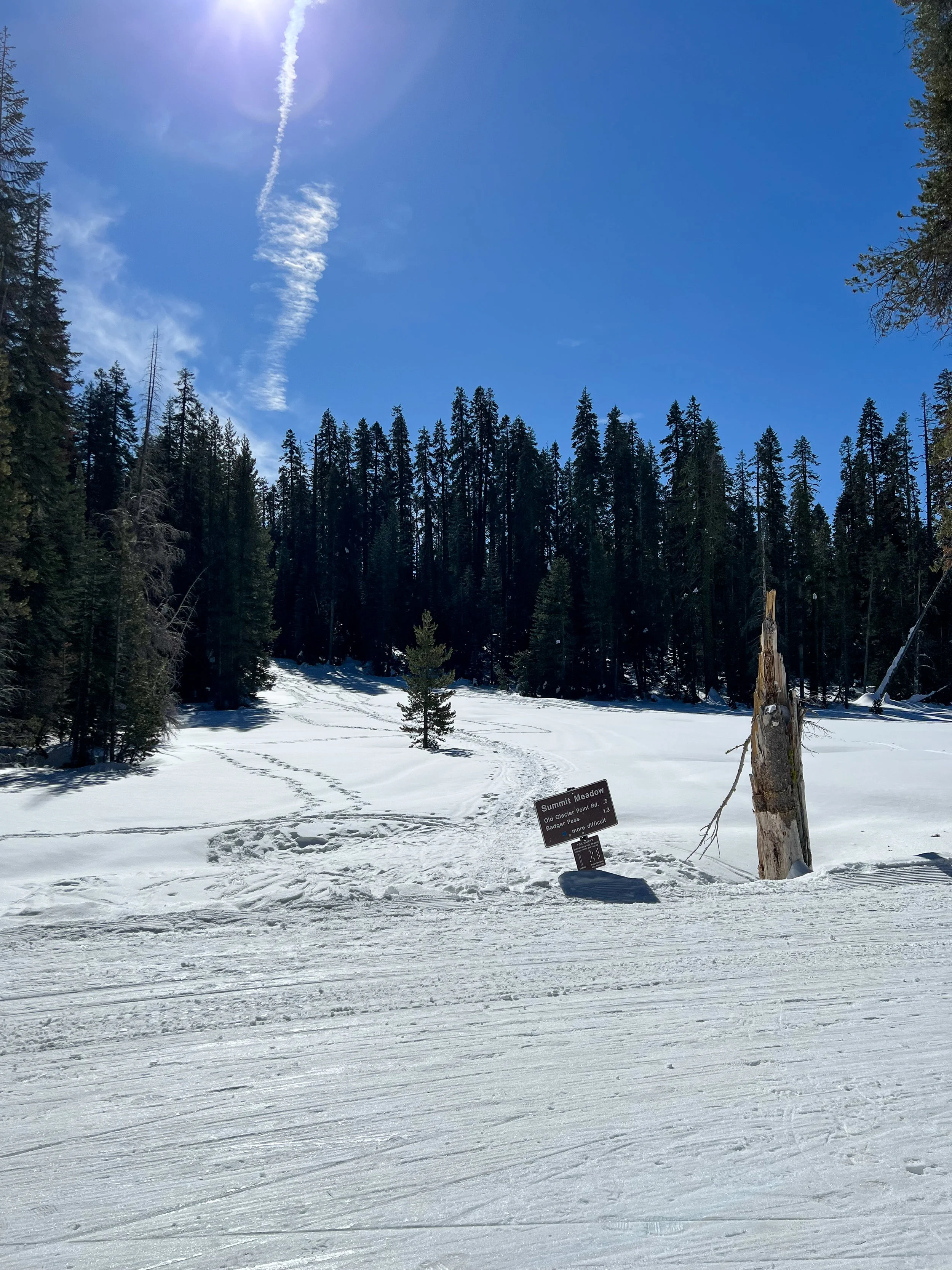 All You Need to Know About the Badger Pass Ski Area — Pacific Adventure ...