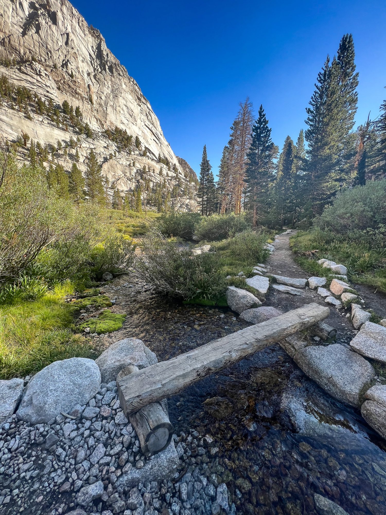 The Story of California’s Golden Trout — Pacific Adventure Club