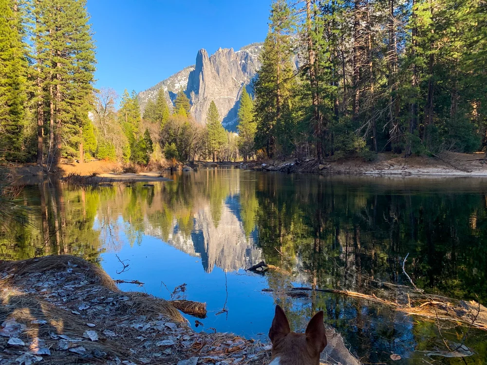 50 Secret Facts About Yosemite National Park — Pacific Adventure Club