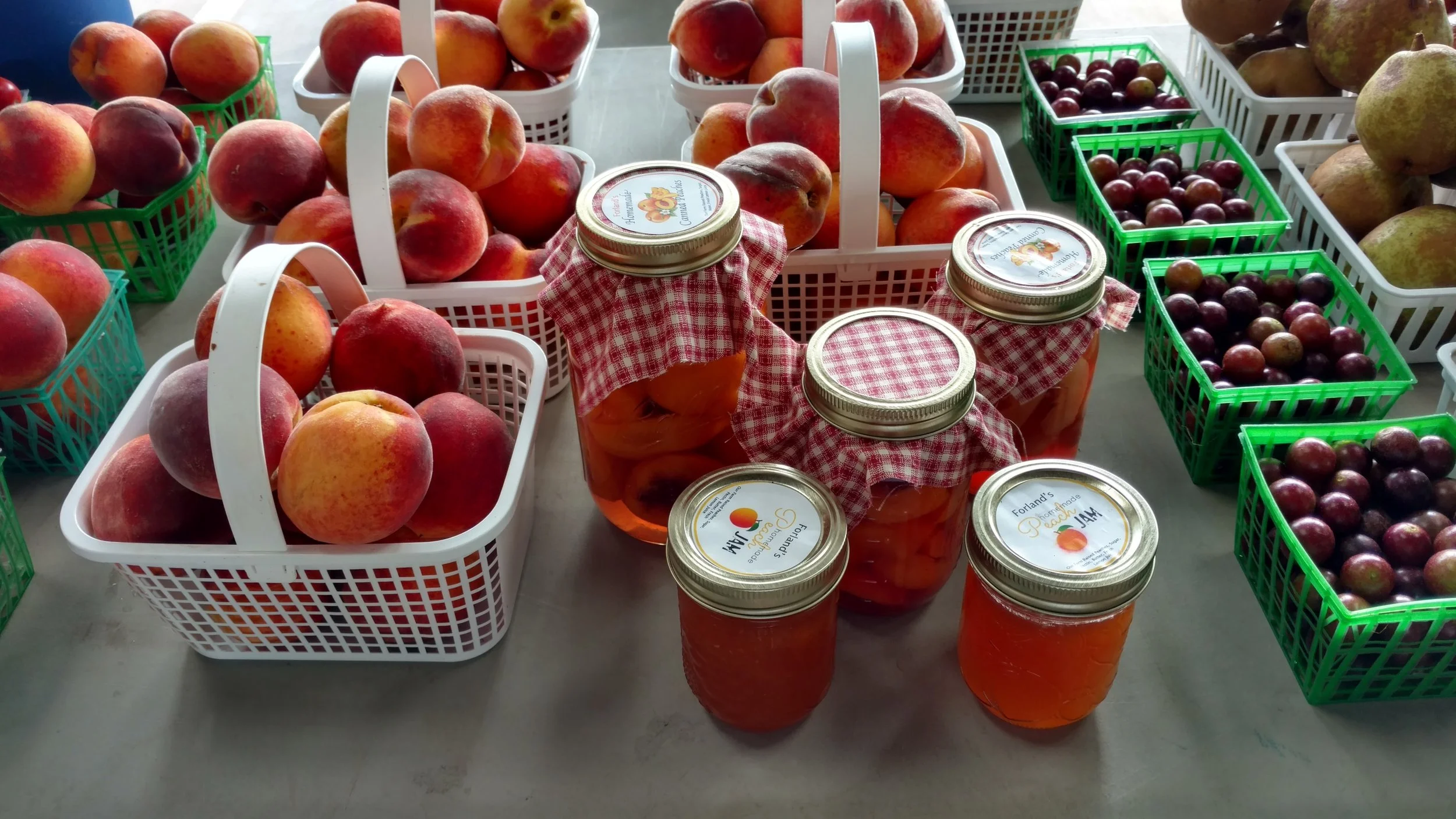 Find Us | Locate Fresh Farm Products — Forland Farms