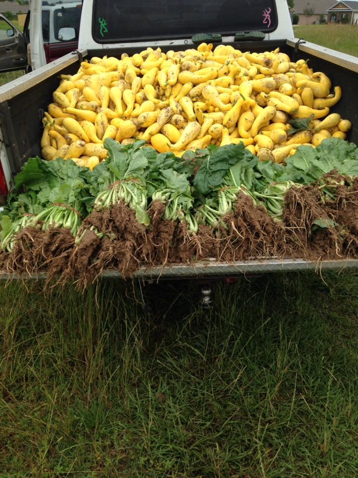 About — Forland Farms