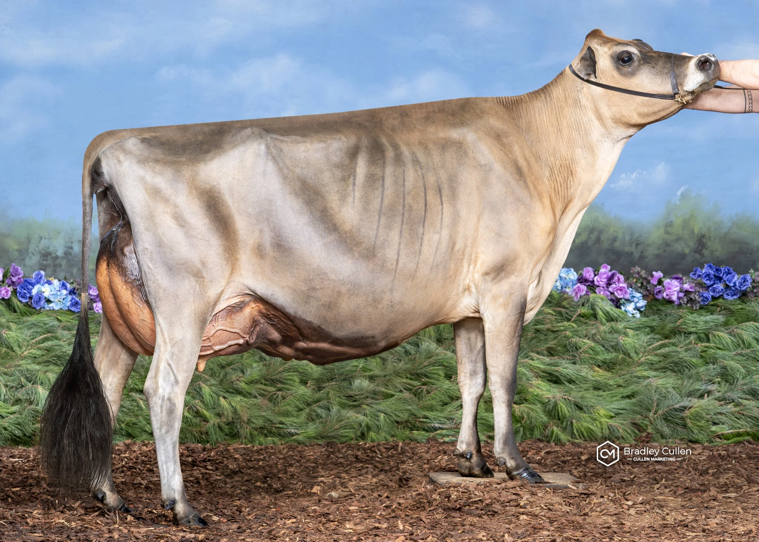International Dairy Week