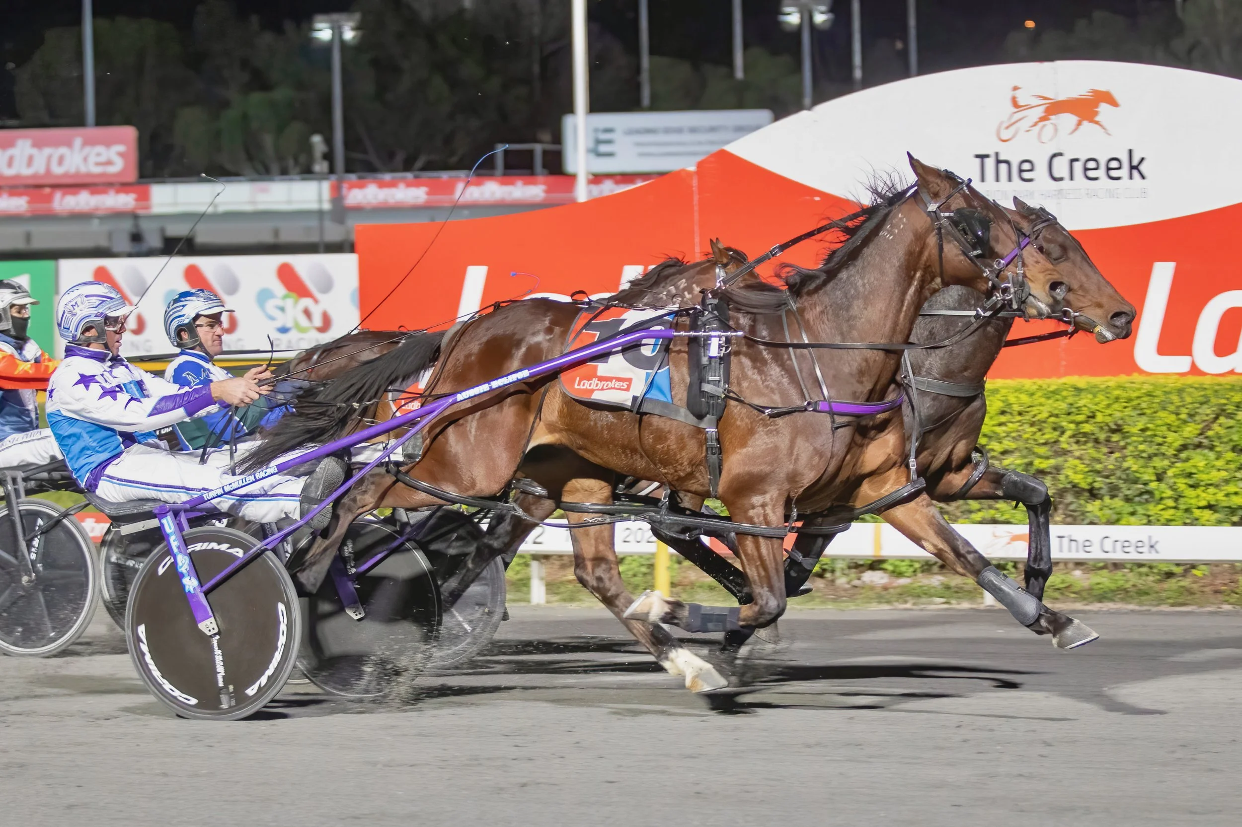 Queensland stars no longer a Secret — The Eureka Harness Race
