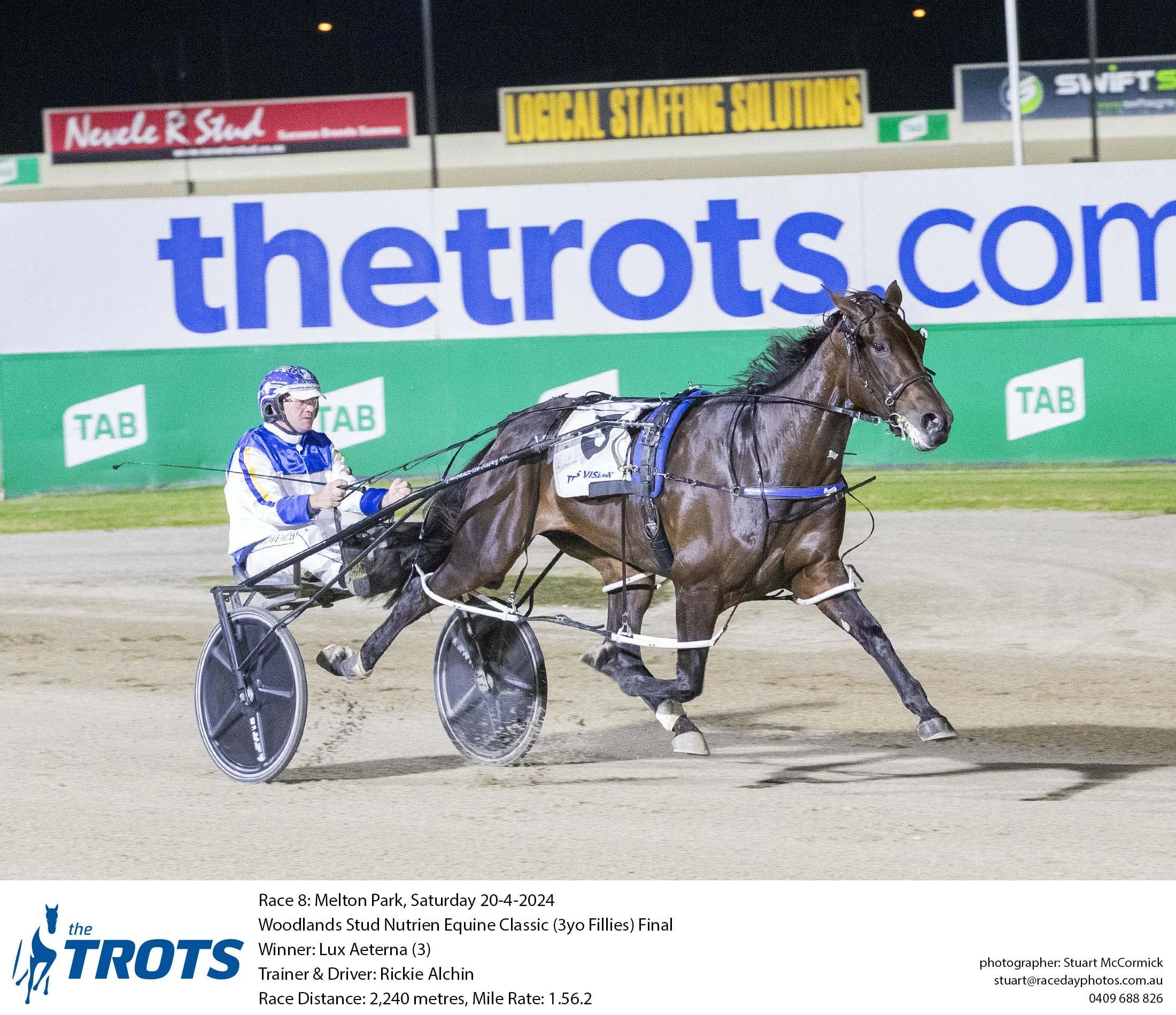 Pitch Your Horse - Lux Aeterna — The Eureka Harness Race