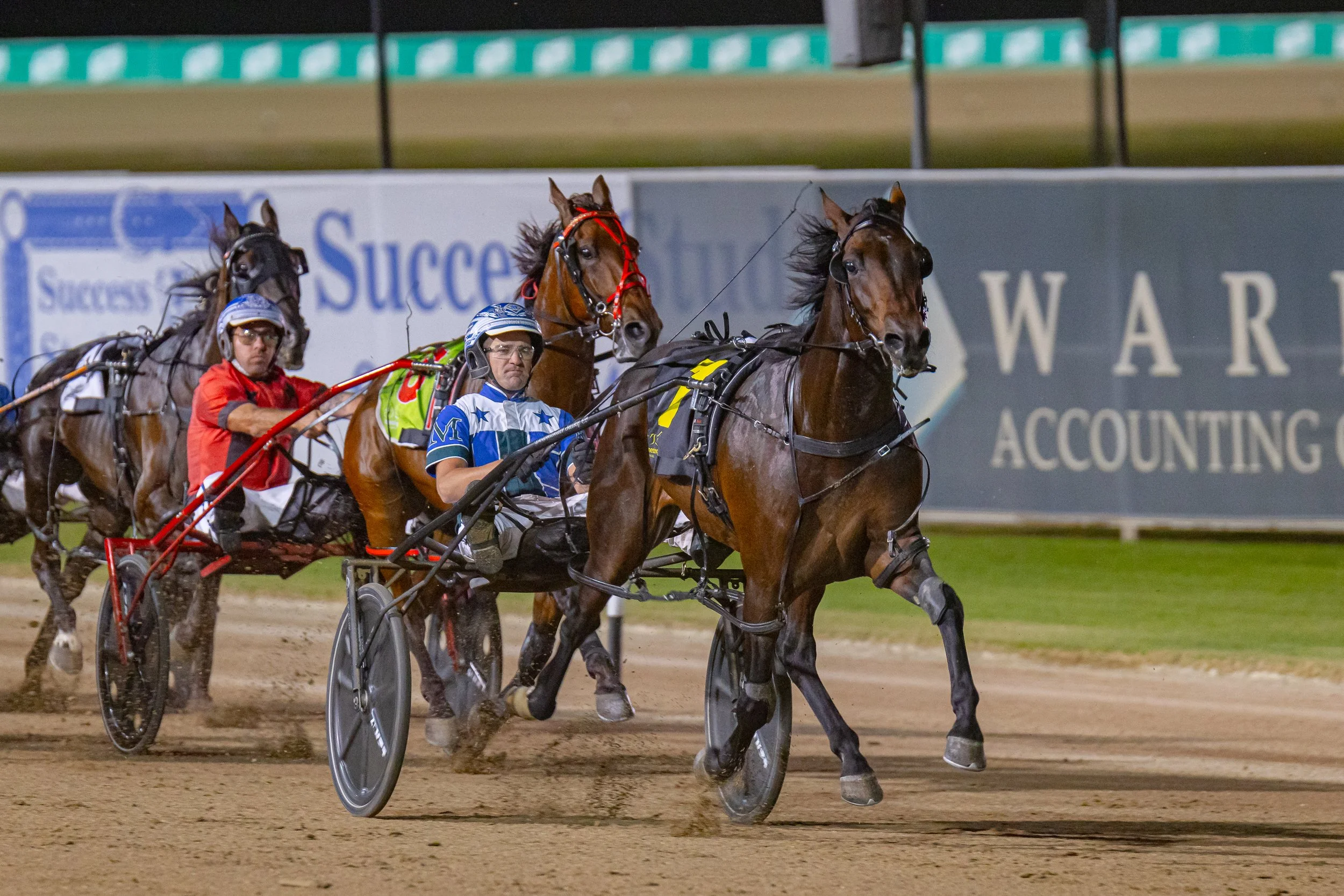 Champion Luke McCarthy has selected his drive — The Eureka Harness Race
