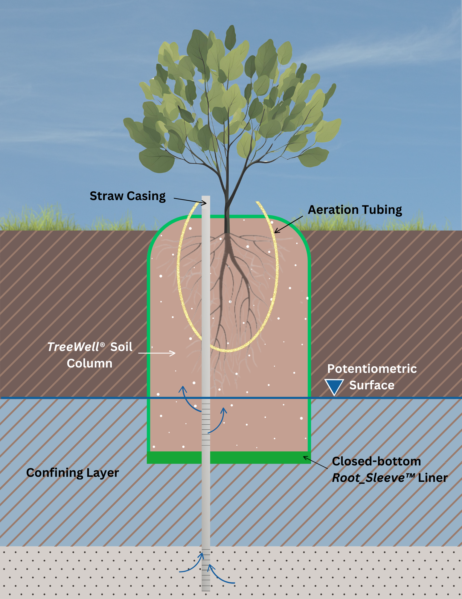 Straw TreeWell® Systems: Addressing Contaminated Groundwater at Extreme ...