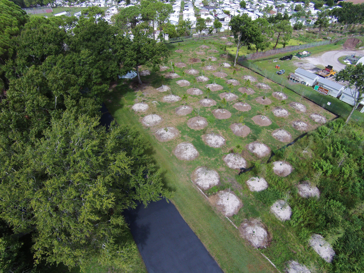 TreeWell Technology — Applied Natural Sciences, Inc.