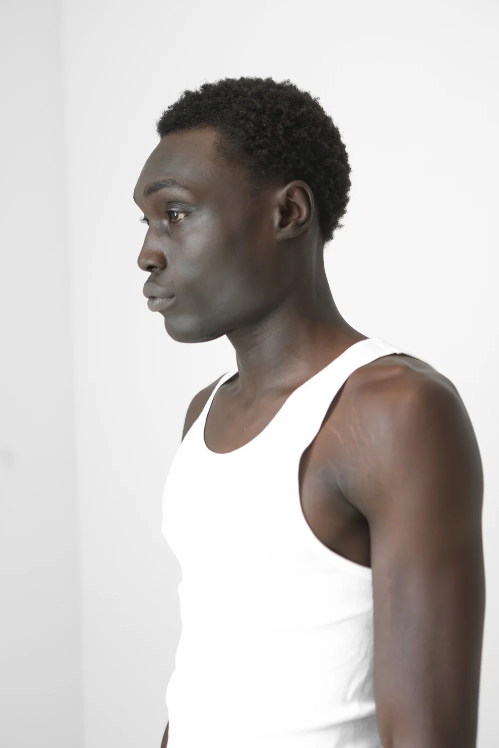 Model Digitals — By Brandon Andre